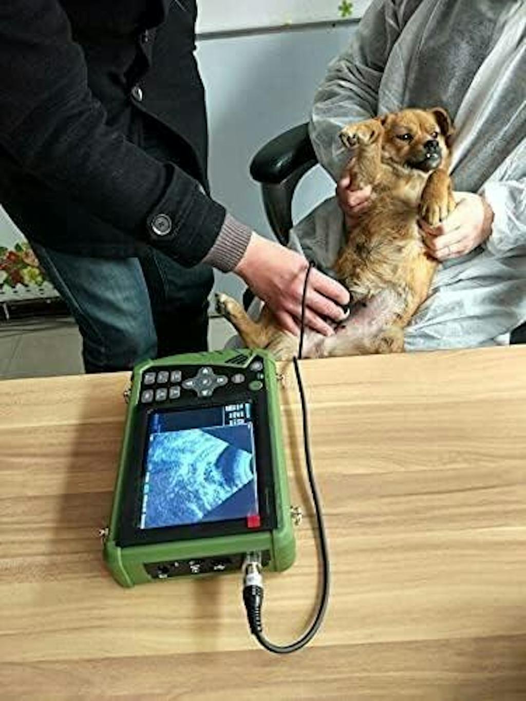 Best Portable Veterinary Ultrasound Machine S0 Dawei – DWanimal