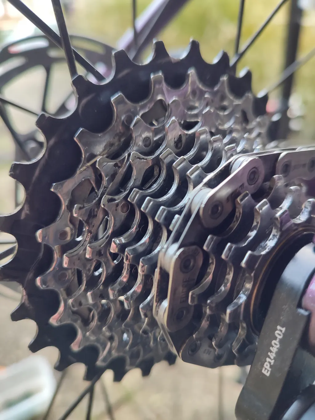 Bio Drivetrain Detox – Dynamic Bike Care