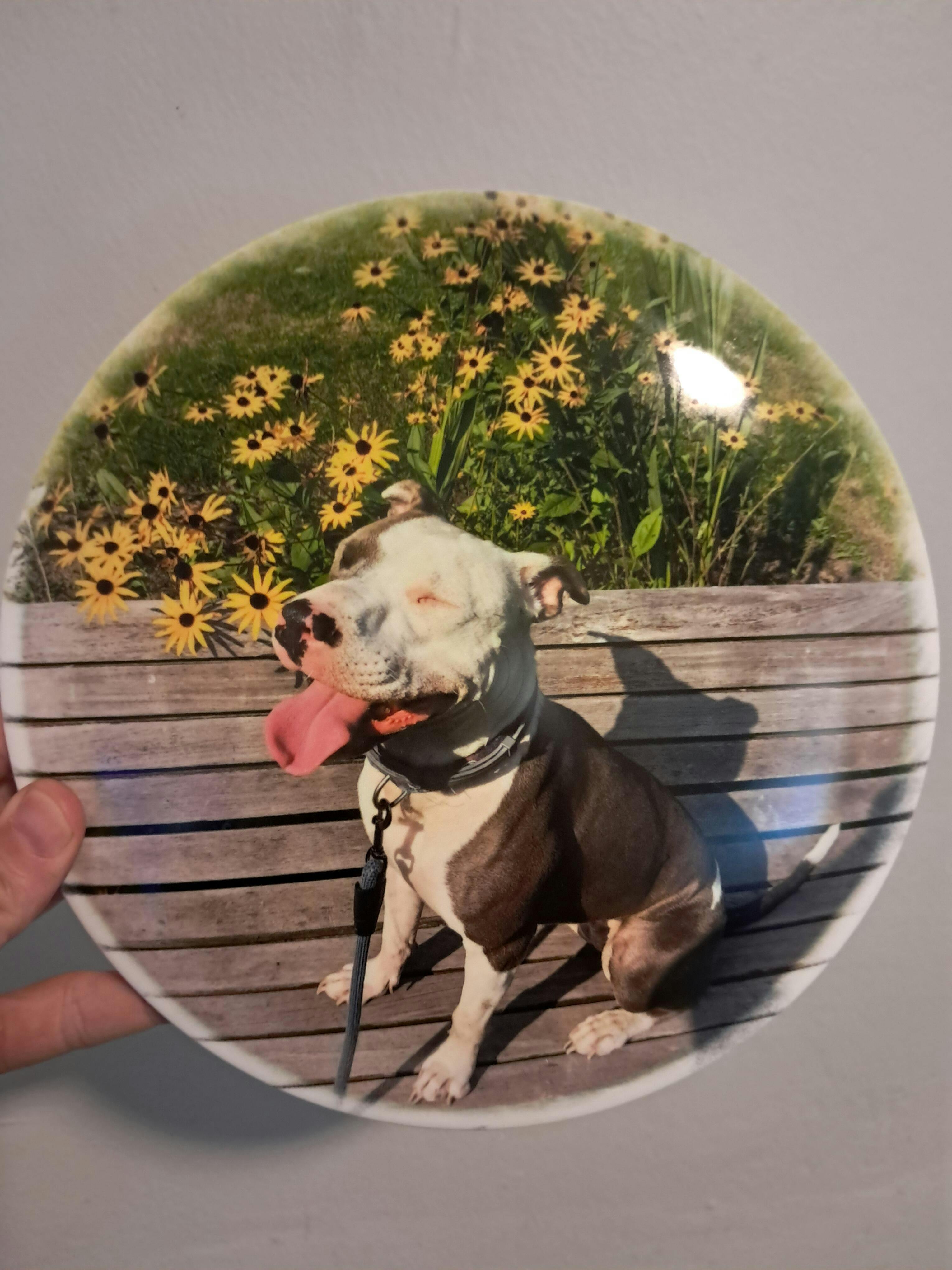 Custom Disc Golf Discs – Dynamic Discs