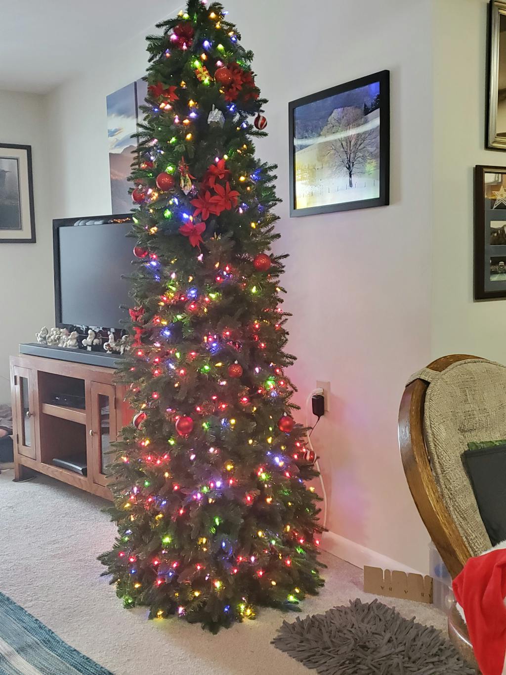 Easy Treezy Christmas Trees - Real Customer Reviews