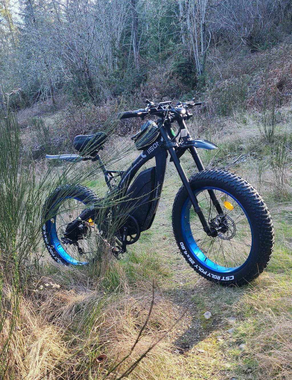 Ecotric Explorer 26 inches 48V Fat Tire Electric Bike with Rear Rack