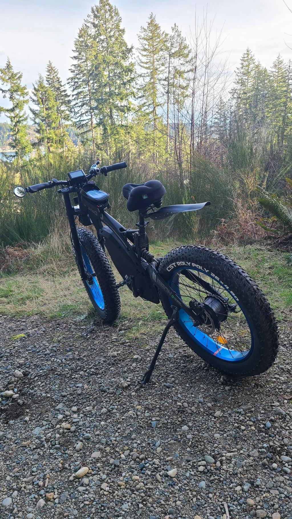 Ecotric 48v 17.5AH 1000W big fat tire ebike Bison-Matt Black