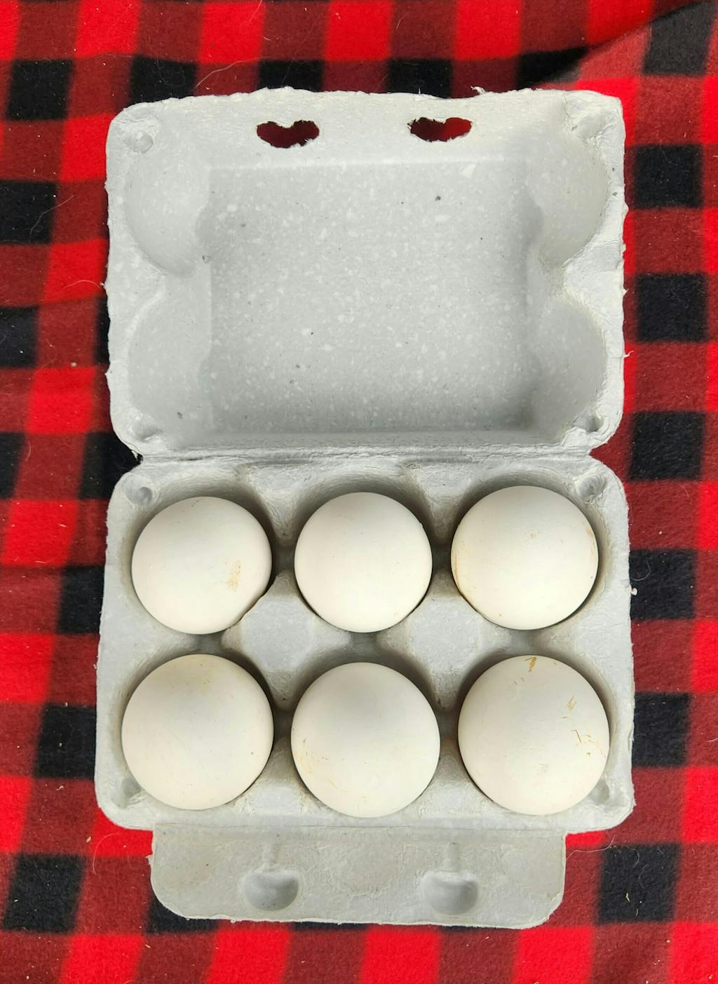 Pulp Goose Egg Carton, Half Dozen – EggCartons.Com