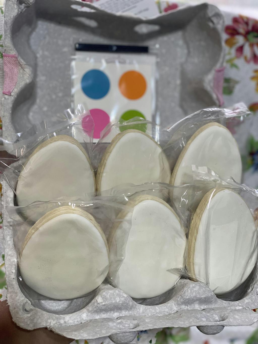 Pulp Goose Egg Carton, Half Dozen – EggCartons.Com