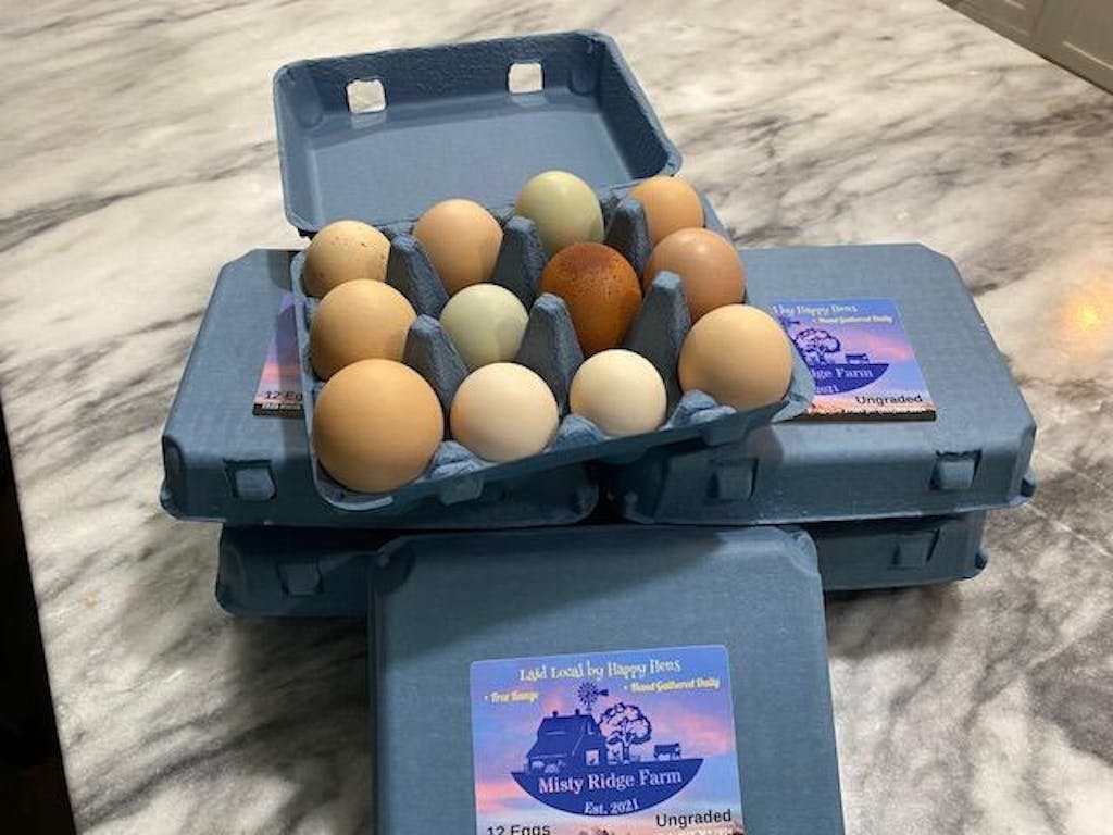 Egg Carton - Vintage 3x4 Style Egg Crate Box in Blue – EggCartons.Com