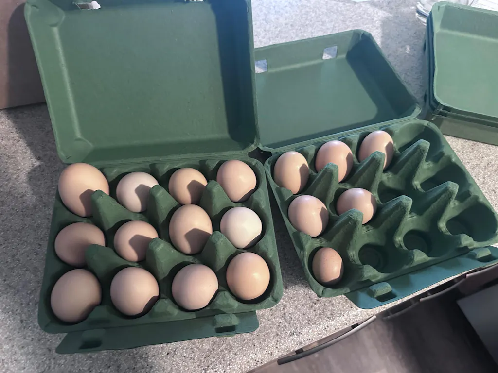 Egg Carton - Vintage 3x4 Style Egg Crate Box in Blue – EggCartons.Com