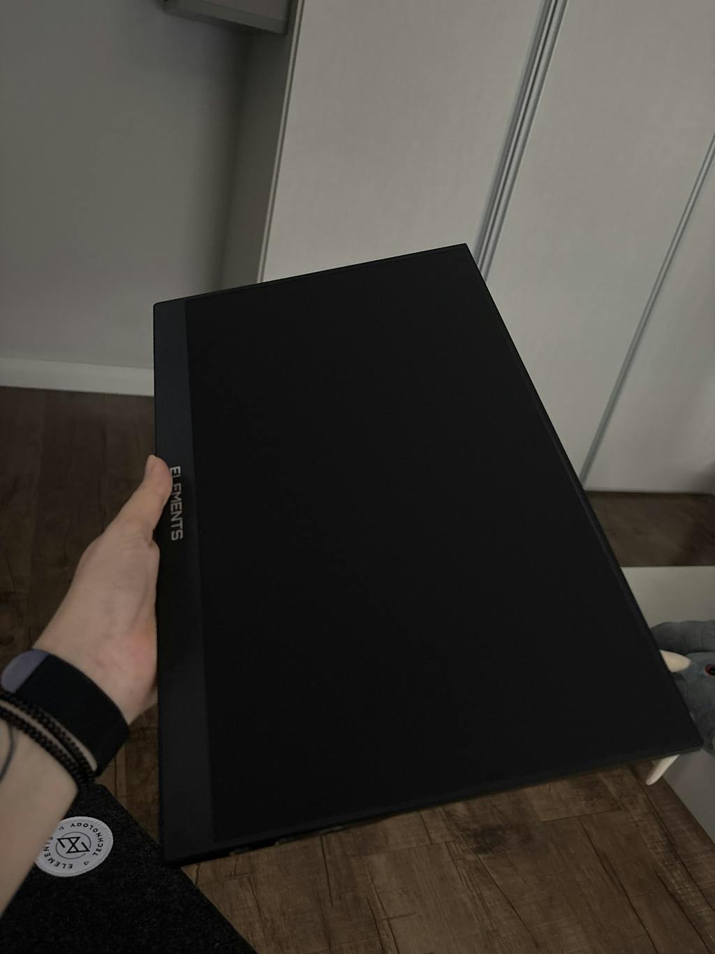 Monitor Portátil Elements Schnap