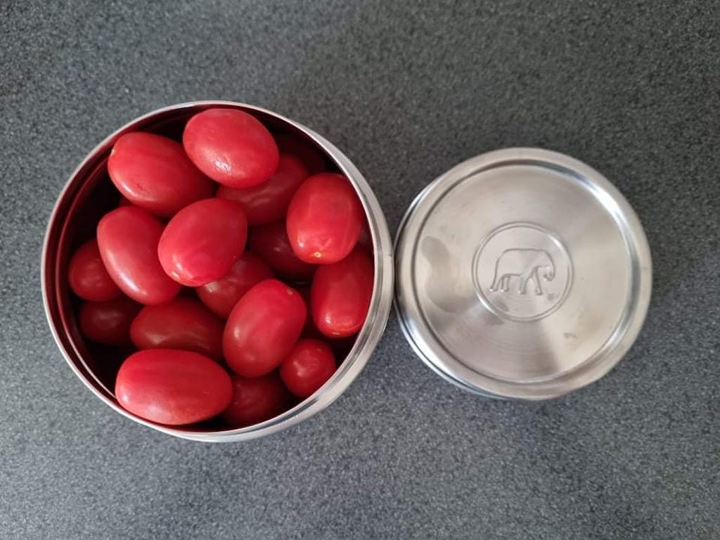 Elephant Box | Stainless Steel Lunch boxes