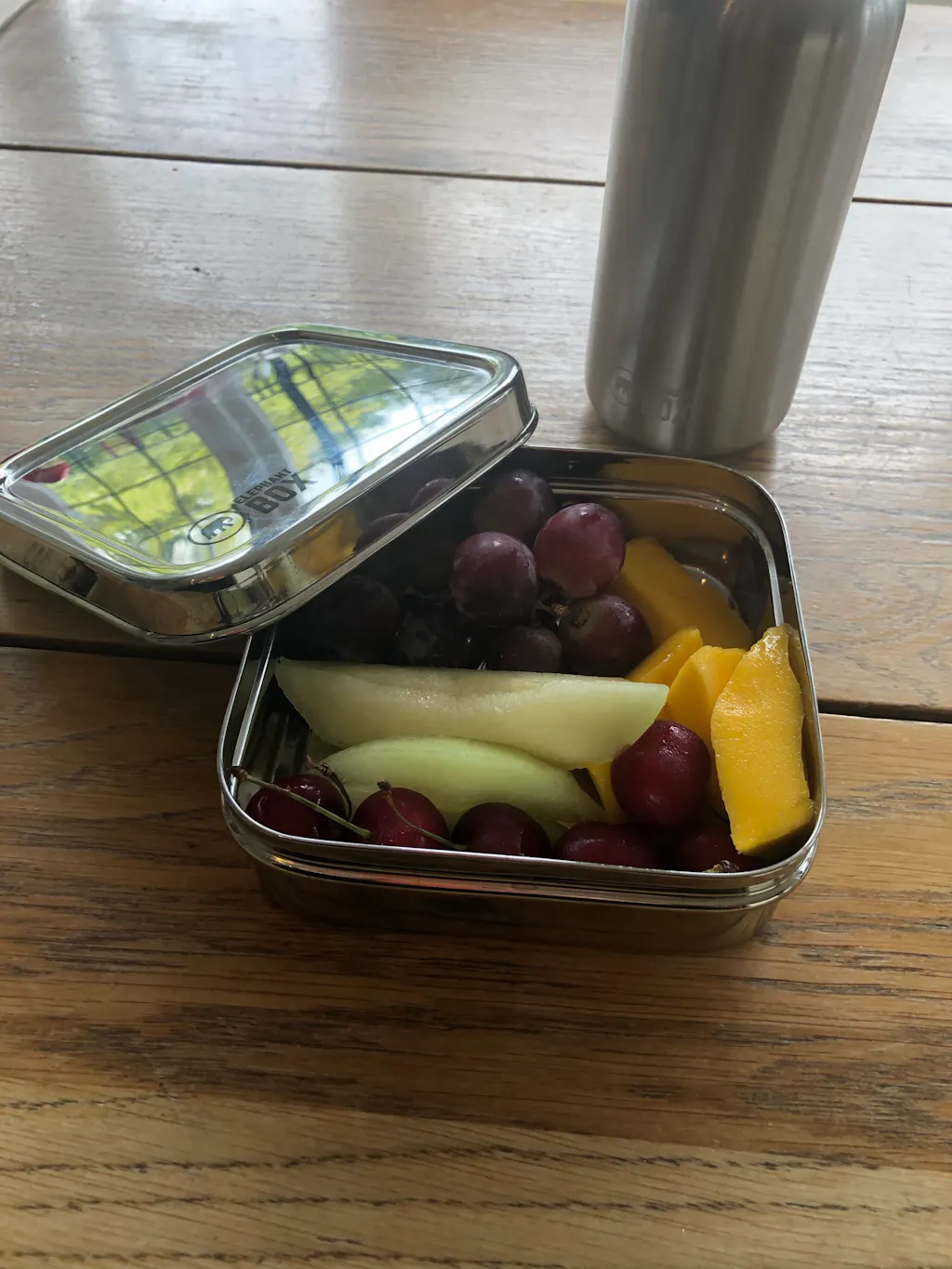 Stainless Steel Salad / Sandwich Box (600ml) | Elephant Box