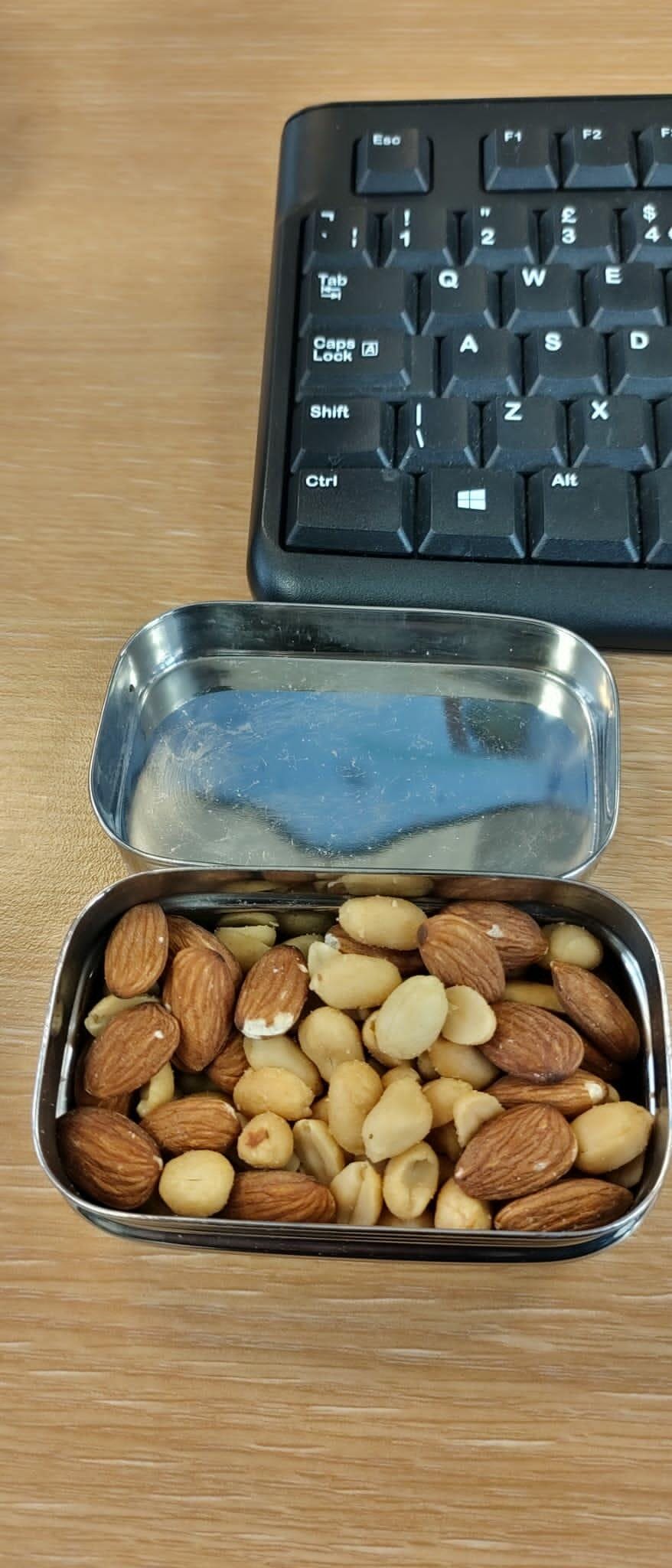 Mini Snack Pod Pair - Stainless Snack Containers | Elephant Box