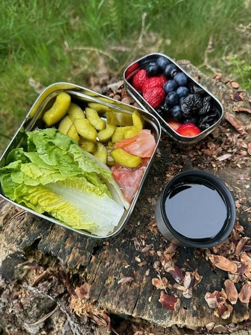 Elephant Box Lunch Out Large Bundle | Stainless Steel Lunch Kit