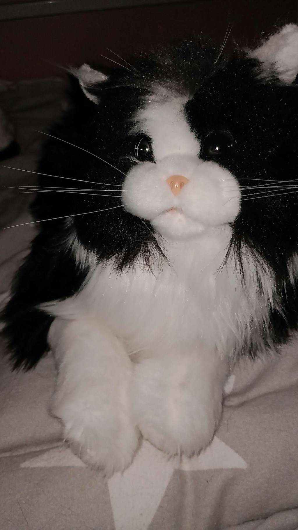 MetaCat: Gift the Purr~Fect Companion Robotic Pet Cat – Elephant Robotics