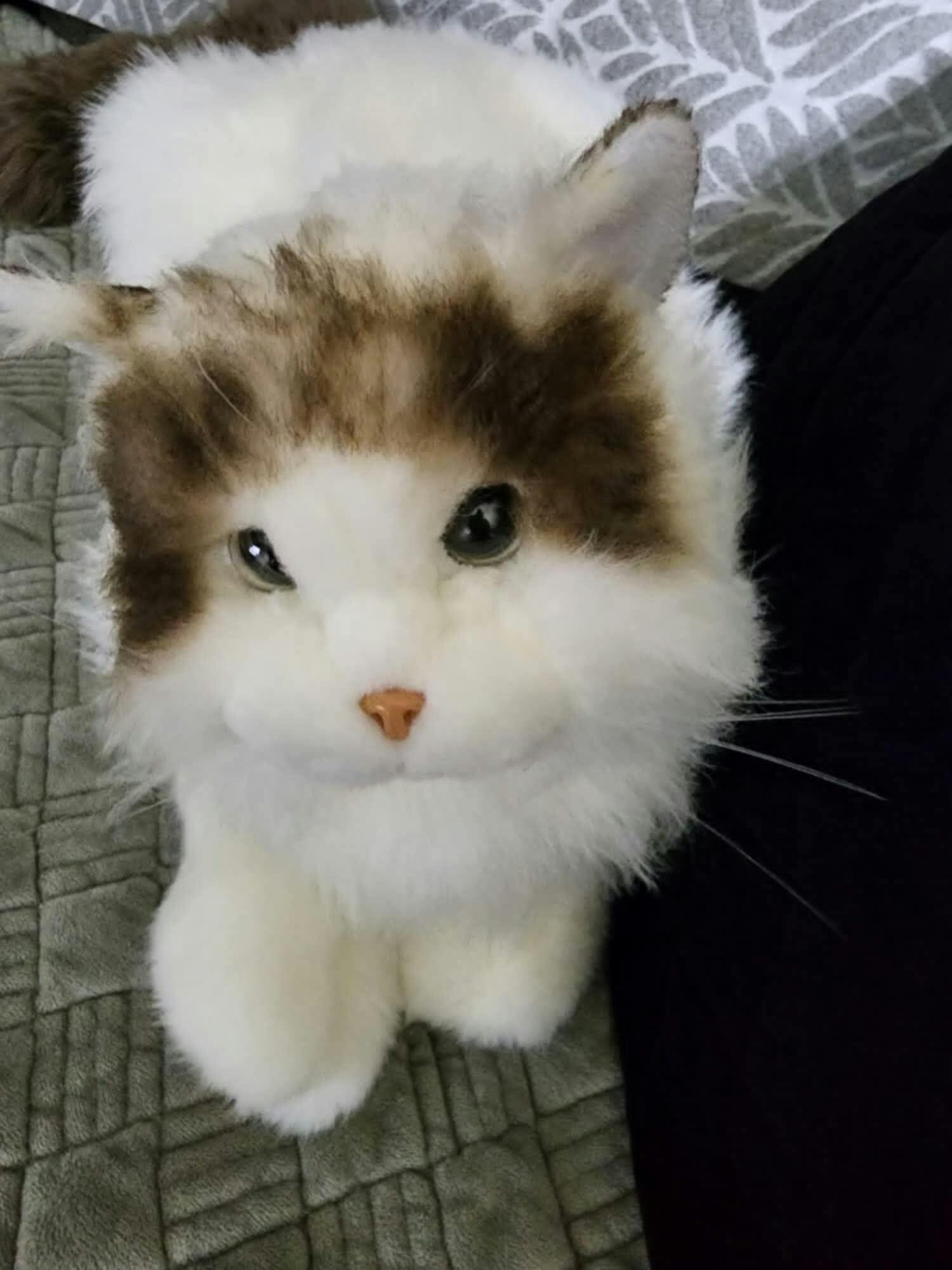 Elephant Robotics metaCat: Gift the Purr~Fect Companion Robotic Pet Ca