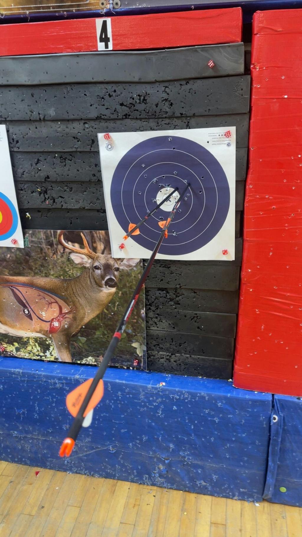 Basin – Elite Archery