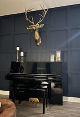 Frankie the Stag Wall Mount – EmieJames