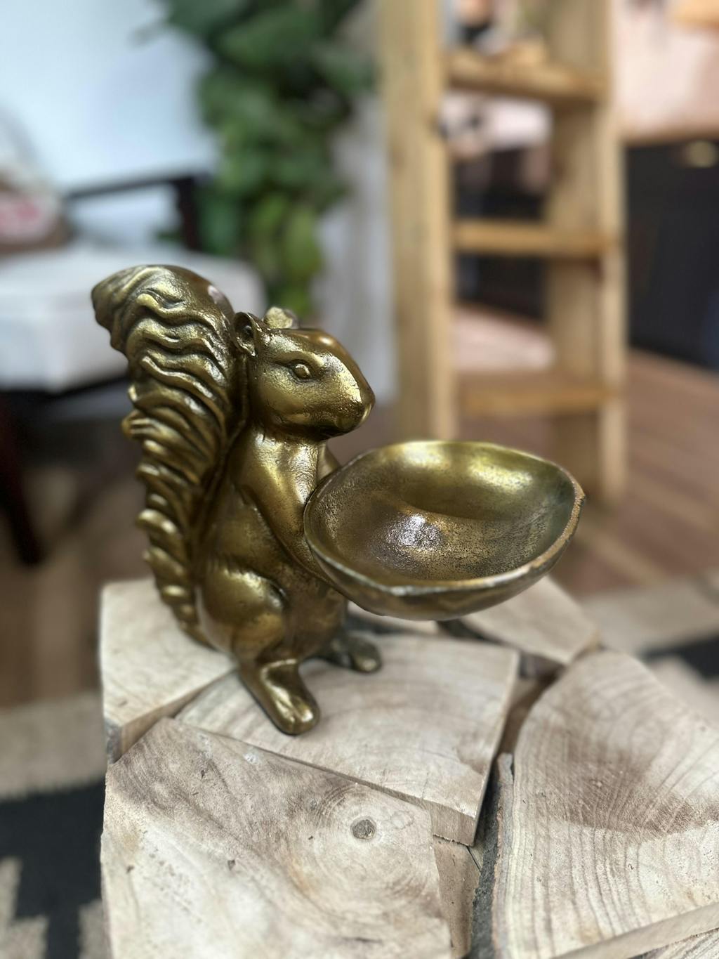 Mister Squirrel – EmieJames