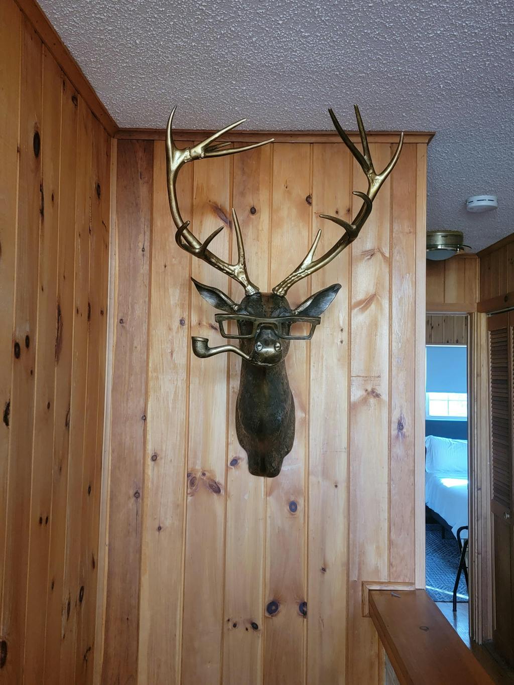 Frankie the Stag Wall Mount – EmieJames