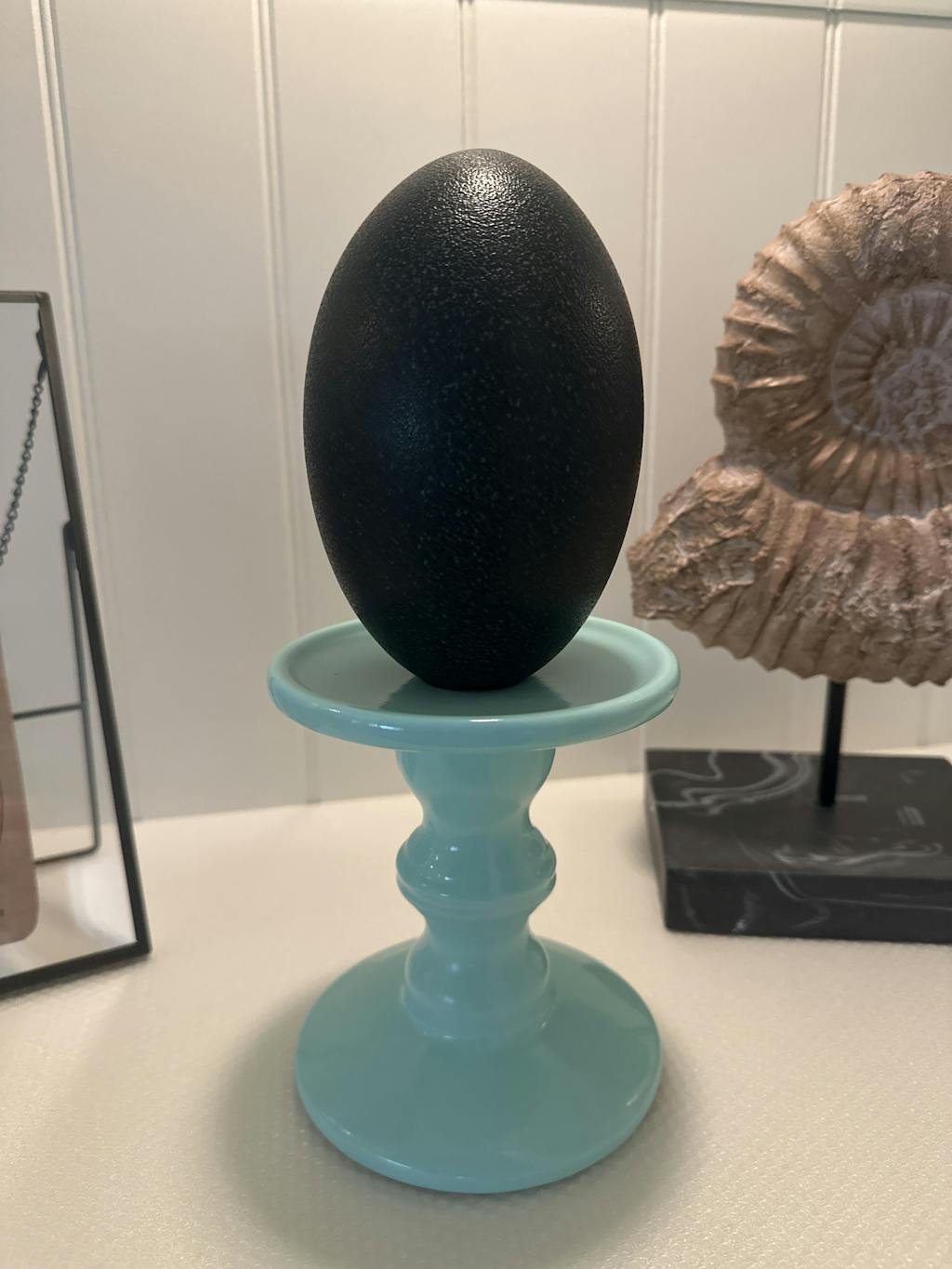 Blown Emu Egg – Emu Logic