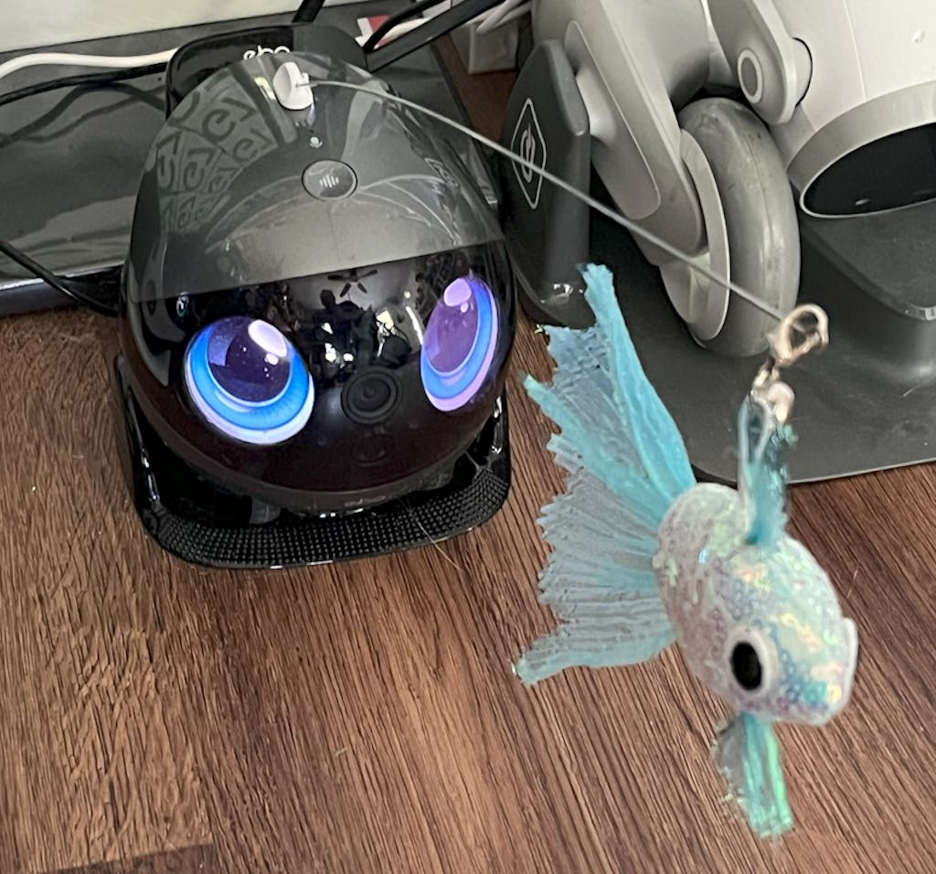 Support - ROLA Mini – Enabot Store