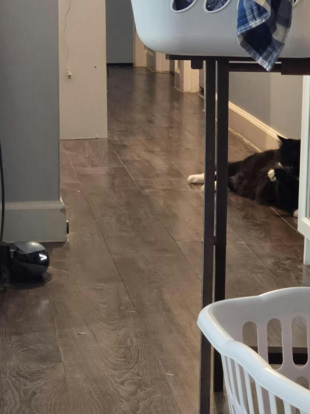 Support - ROLA Mini – Enabot Store