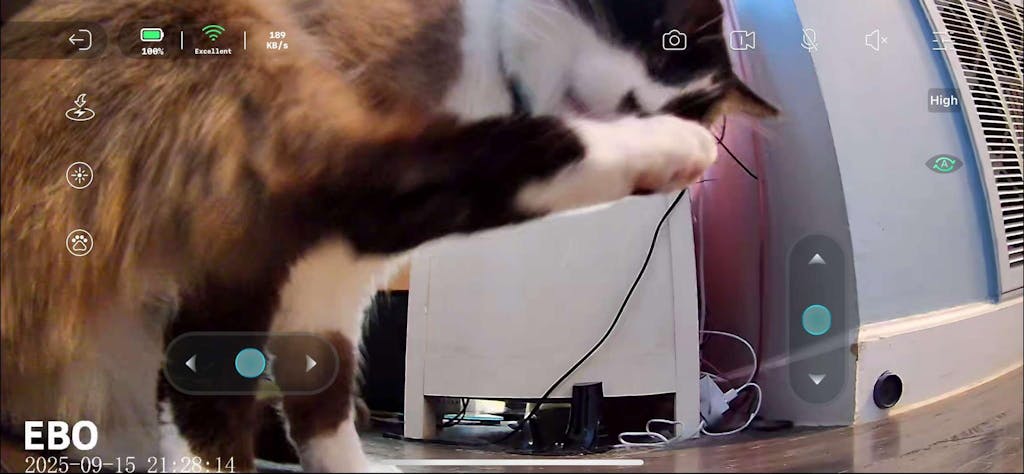 Support - ROLA Mini – Enabot Store