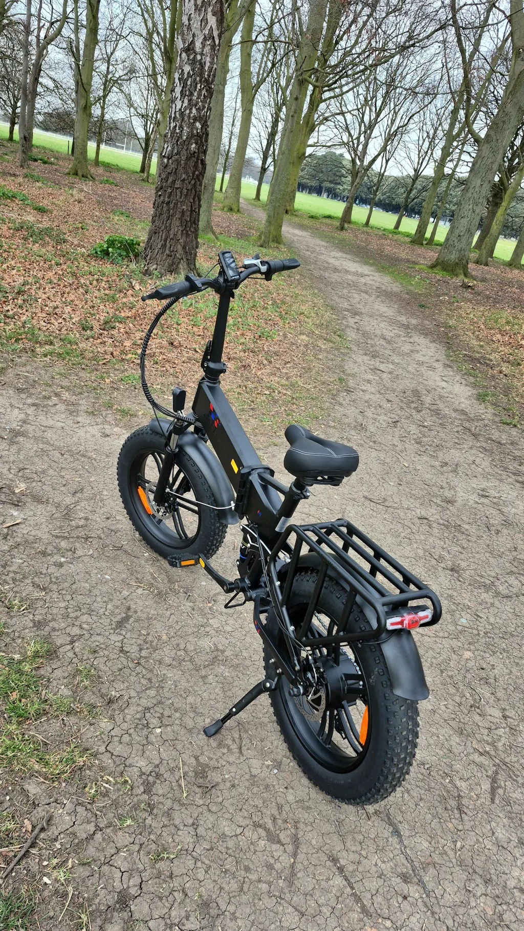 Engwe Engine X | 250W Foldable E Fat Bike for All Terrain - ENGWE EU ...