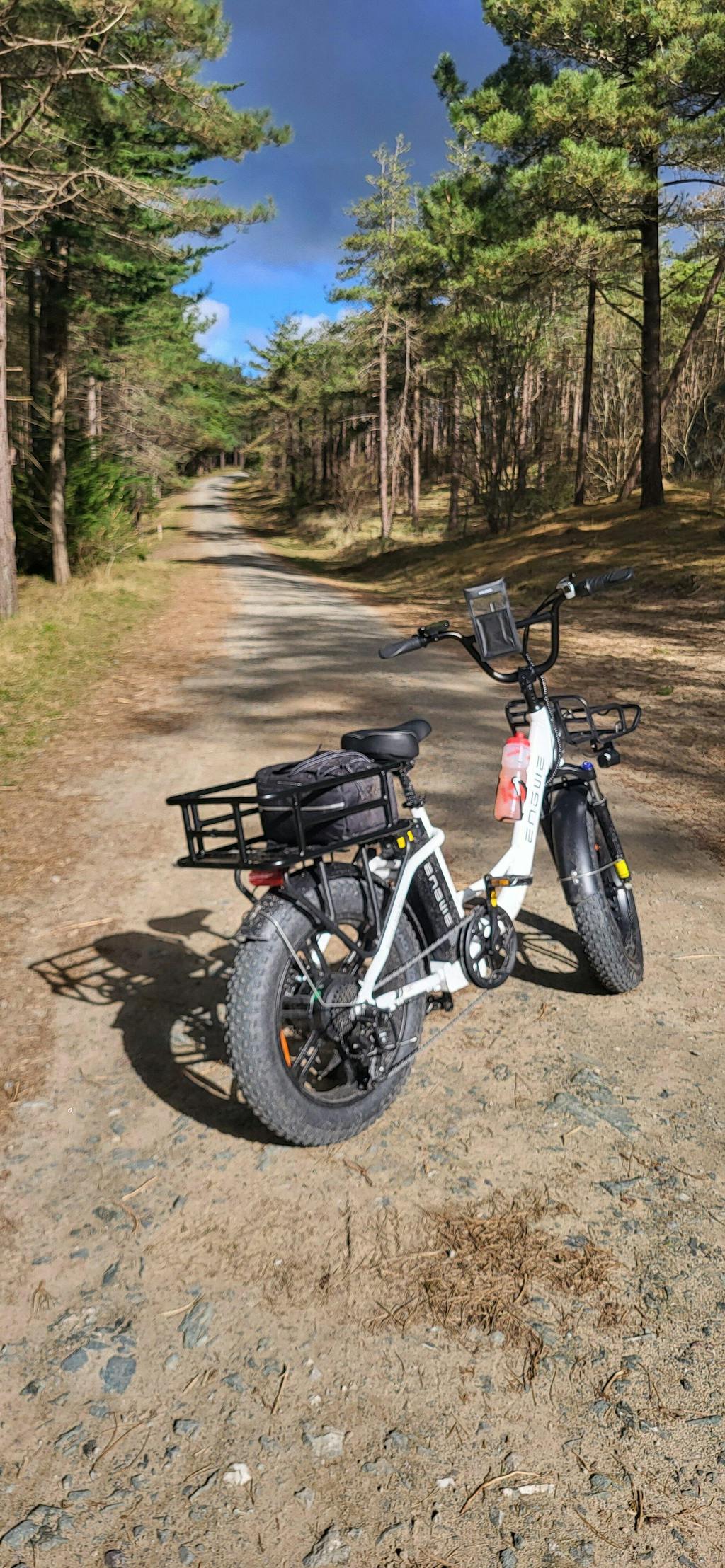 Engwe L20 250W Step-thru Fat Tire Ebike|140KM Long Range – engwe uk