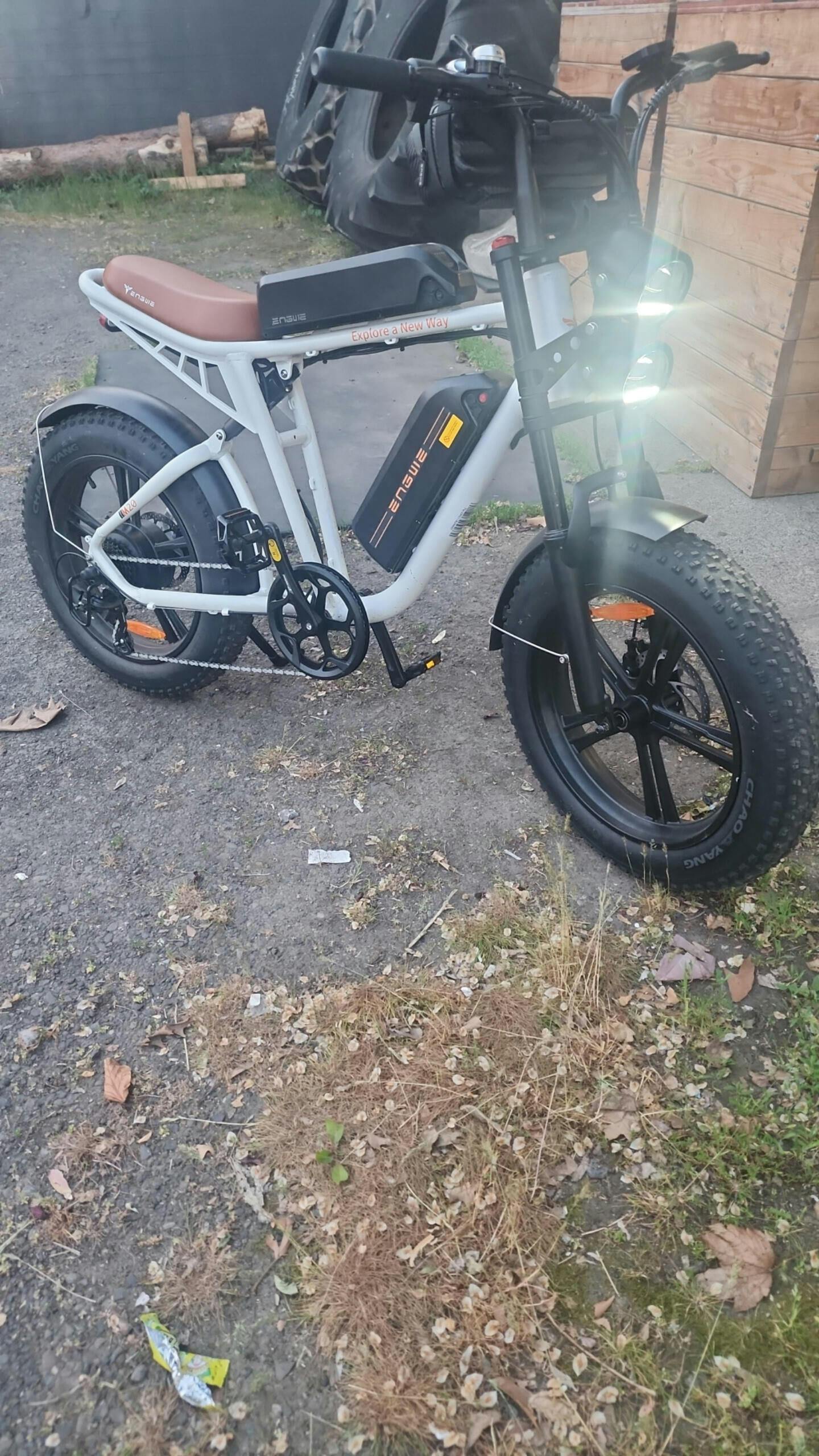 Engwe M20 fat tire 48v battery Dual Batteries Long Range Ebike – ENGWE