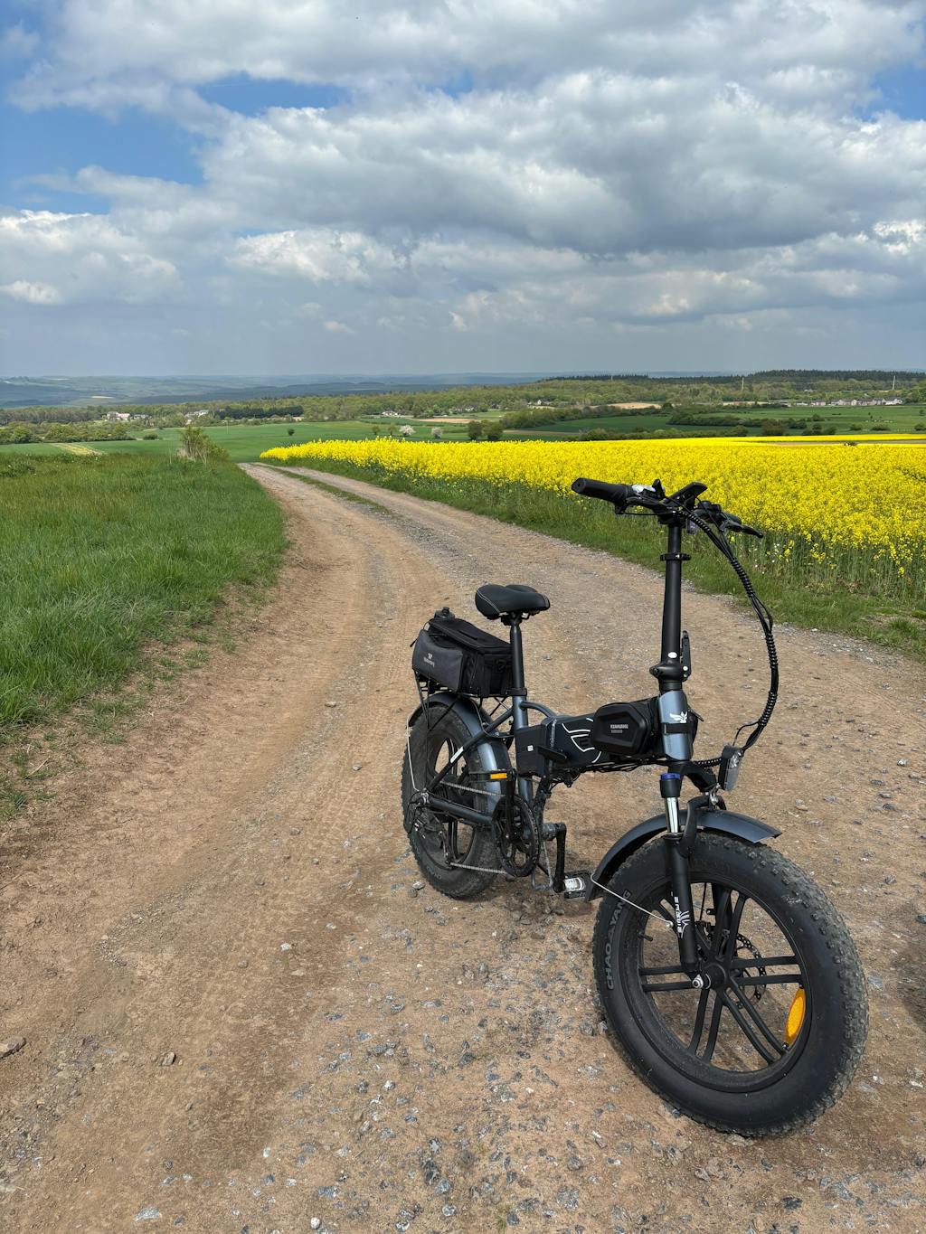 ENGWE EP-2 Pro 250W 120KM Range Foldable Electric Fat Bike