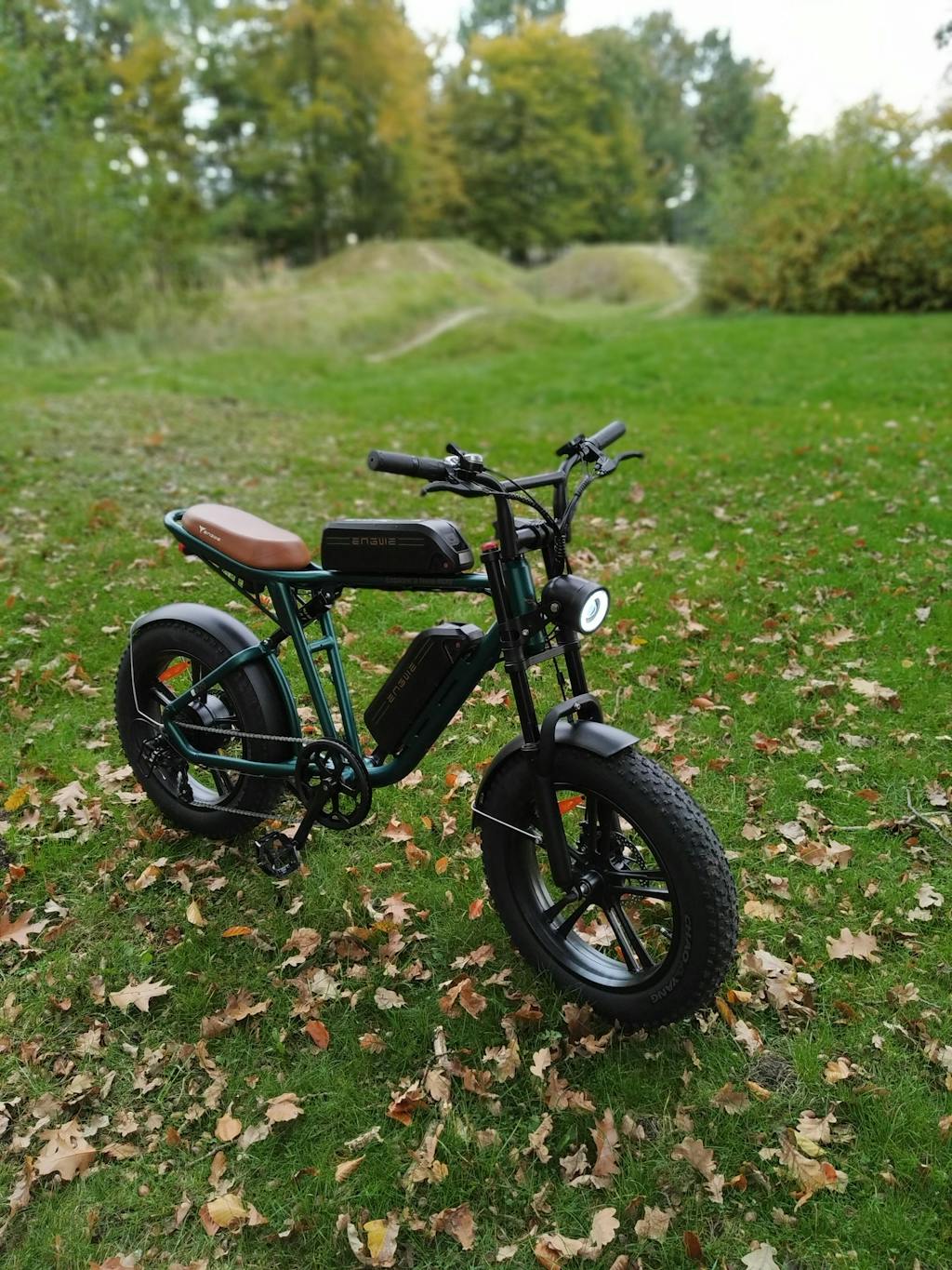 ENGWE M20 Dual Battery 150KM Full Suspension Fat Ebike – ENGWE Official
