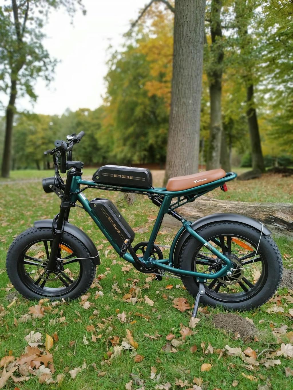 ENGWE M20 Dual Battery 150KM Full Suspension Fat Ebike – ENGWE Official