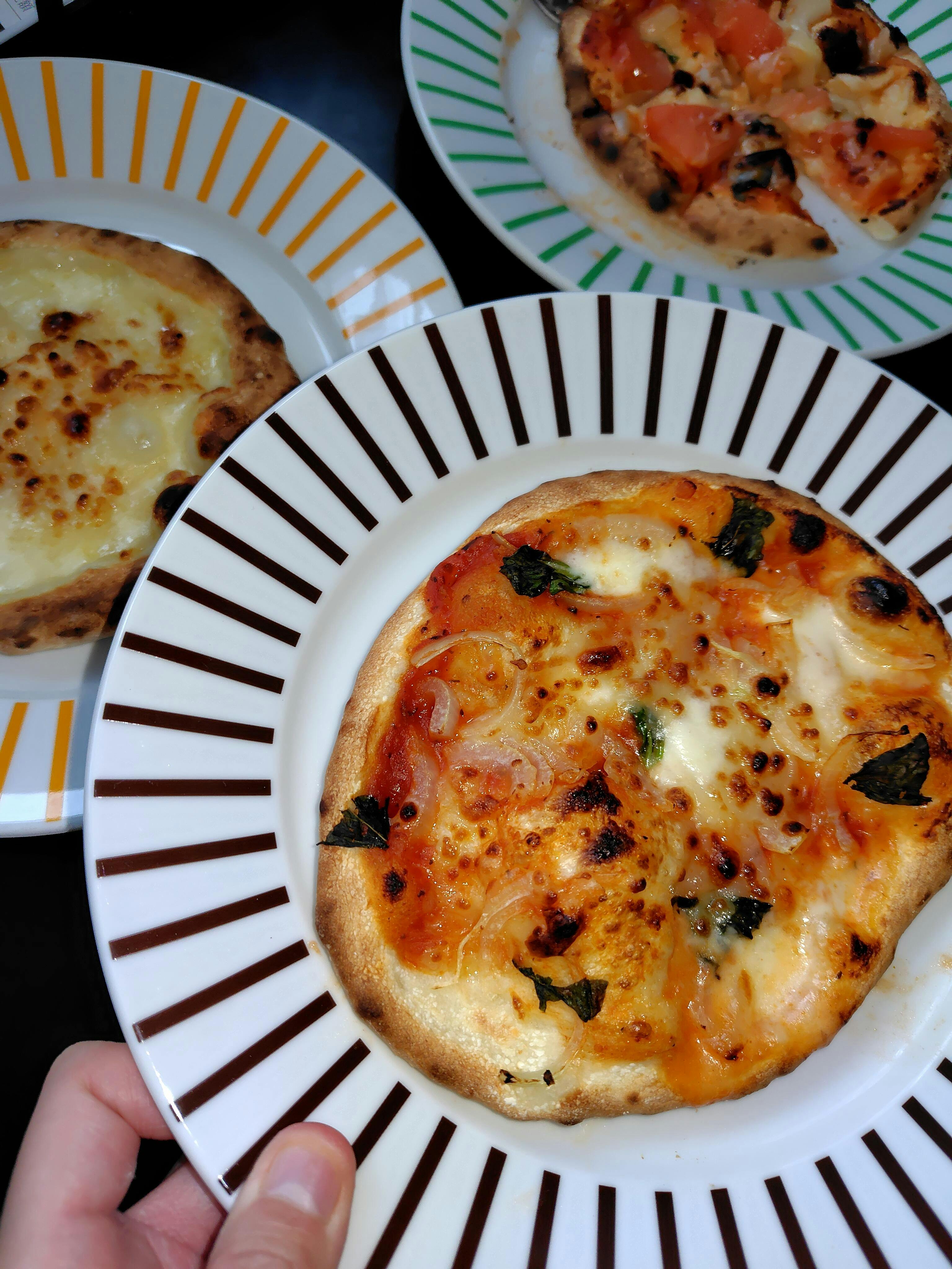 【入荷済み通常出荷】電気式窯焼名人mini 小型家電ピザ窯（トースターとしても使用可） – ENRO 日本公式サイト