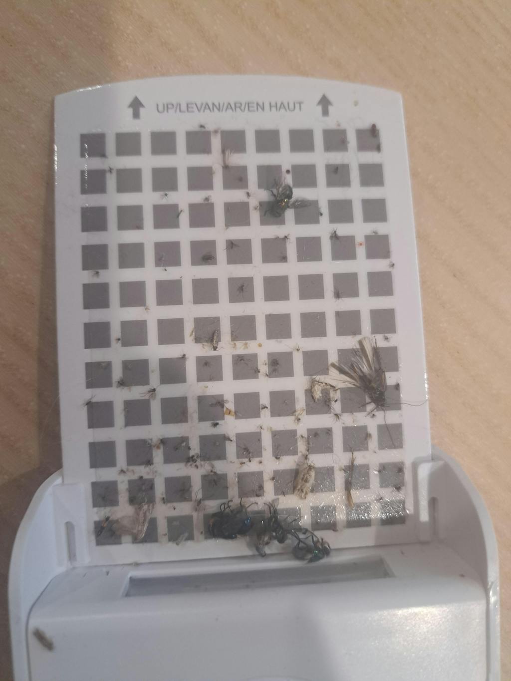 Snake Droppings: What Are They and How to Identify Them – Envirobug