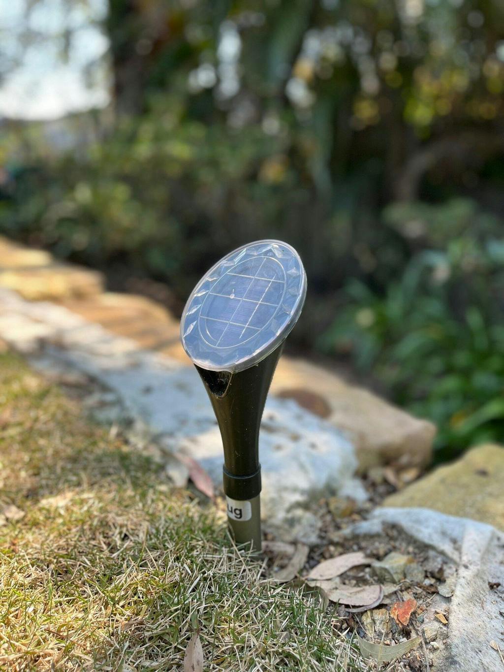 Snake Droppings: What Are They and How to Identify Them – Envirobug