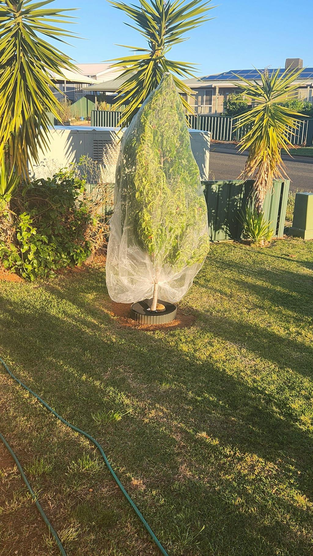 Snake Droppings: What Are They and How to Identify Them – Envirobug