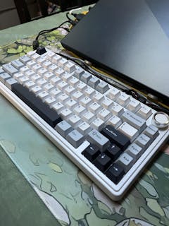 Epomaker Flamingo Switch Set – epomaker