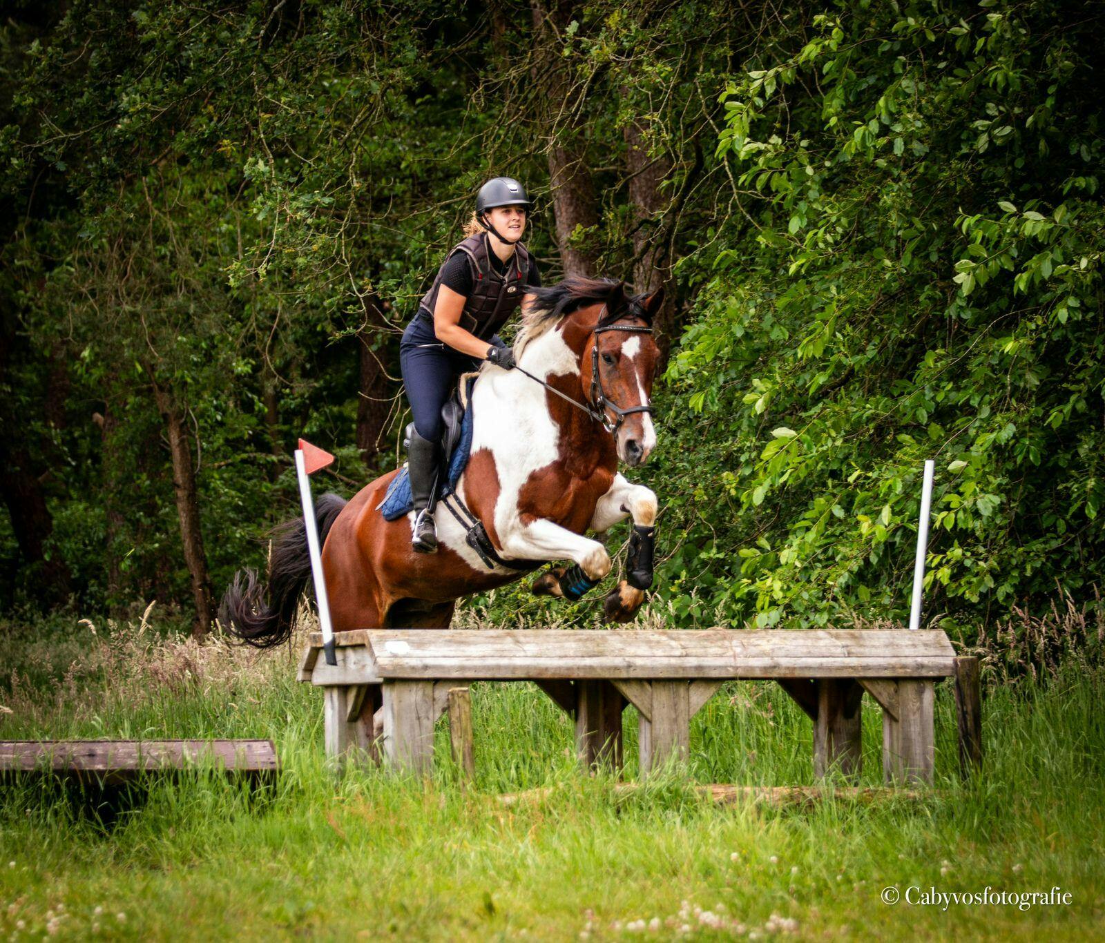 EquilinBASIC - voor Paarden met Insulineresistentie en Meer