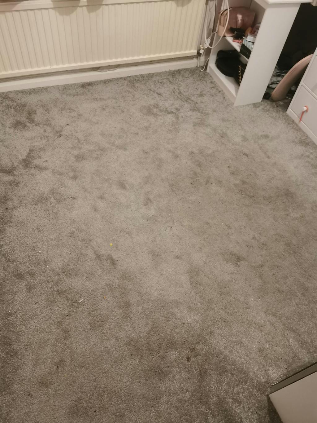 Aquarius Pro Valet Carpet and Upholstery Cleaner Car Valeting Machine ...