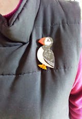 The Notorious Numbat Brooch