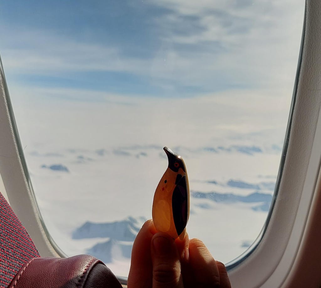 The Emboldened Emperor Penguin Brooch – Erstwilder