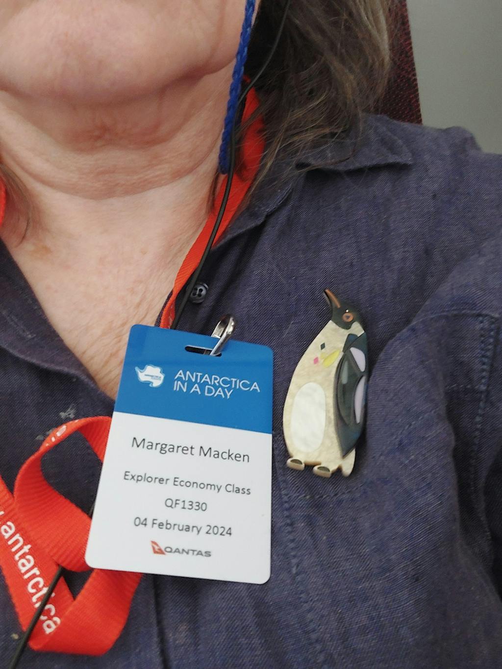 The Emboldened Emperor Penguin Brooch – Erstwilder