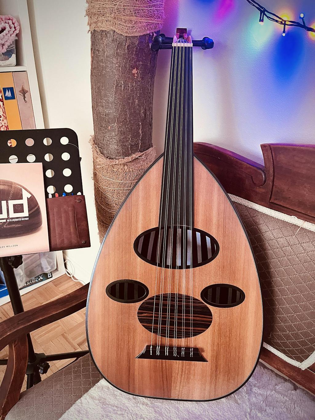 The Oud Instrument