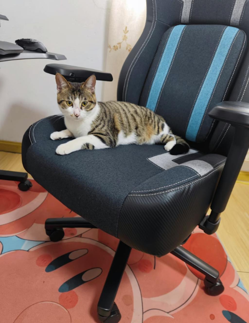 Most Comfortable Gaming Chair – HyperX Arena Edition Python II | Eureka ...