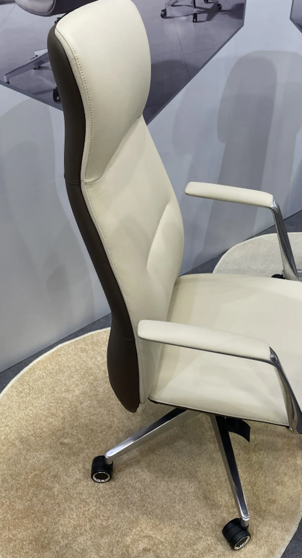 Eureka Ergonomic Best Leather Executive Office Chair For Home