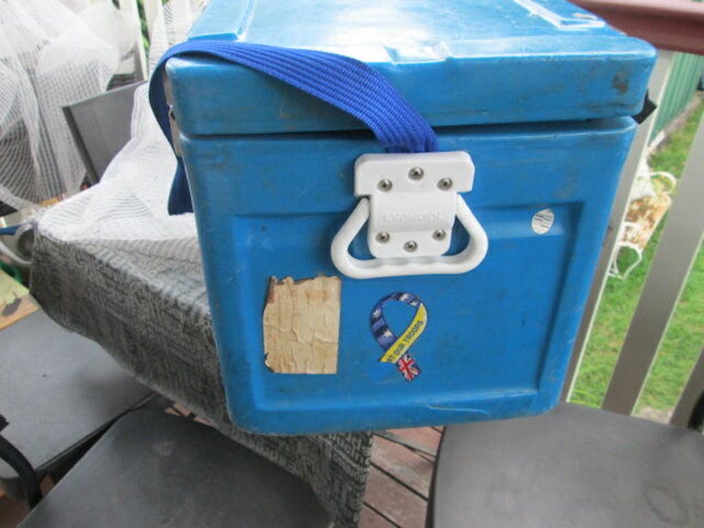 IceKool Loop Latch (2 Pack) – EvaKool Australia