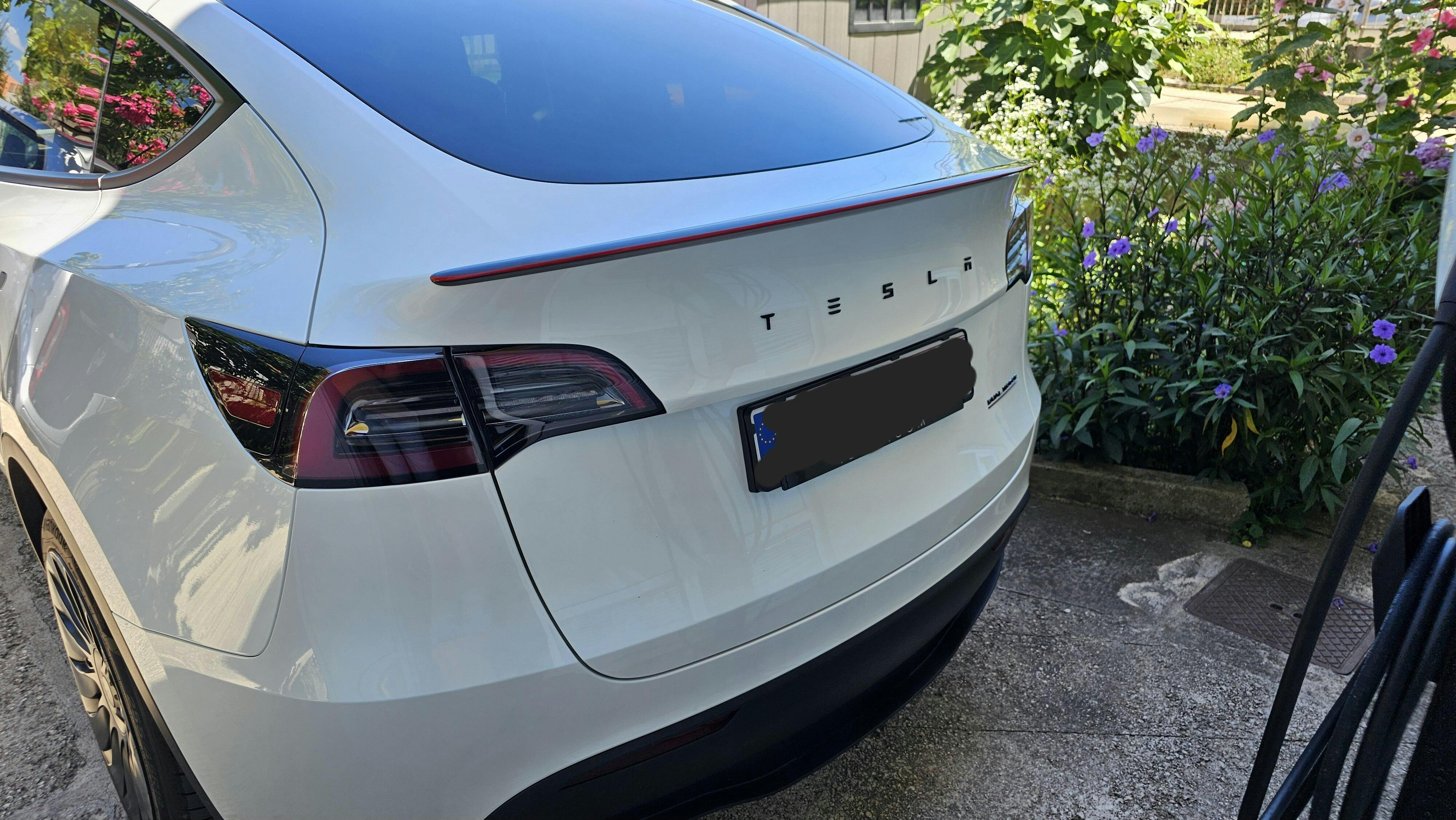 EVBASE Tesla Red Real Carbon Fiber Spoiler Wing for Model 3/Y - EVBASE ...