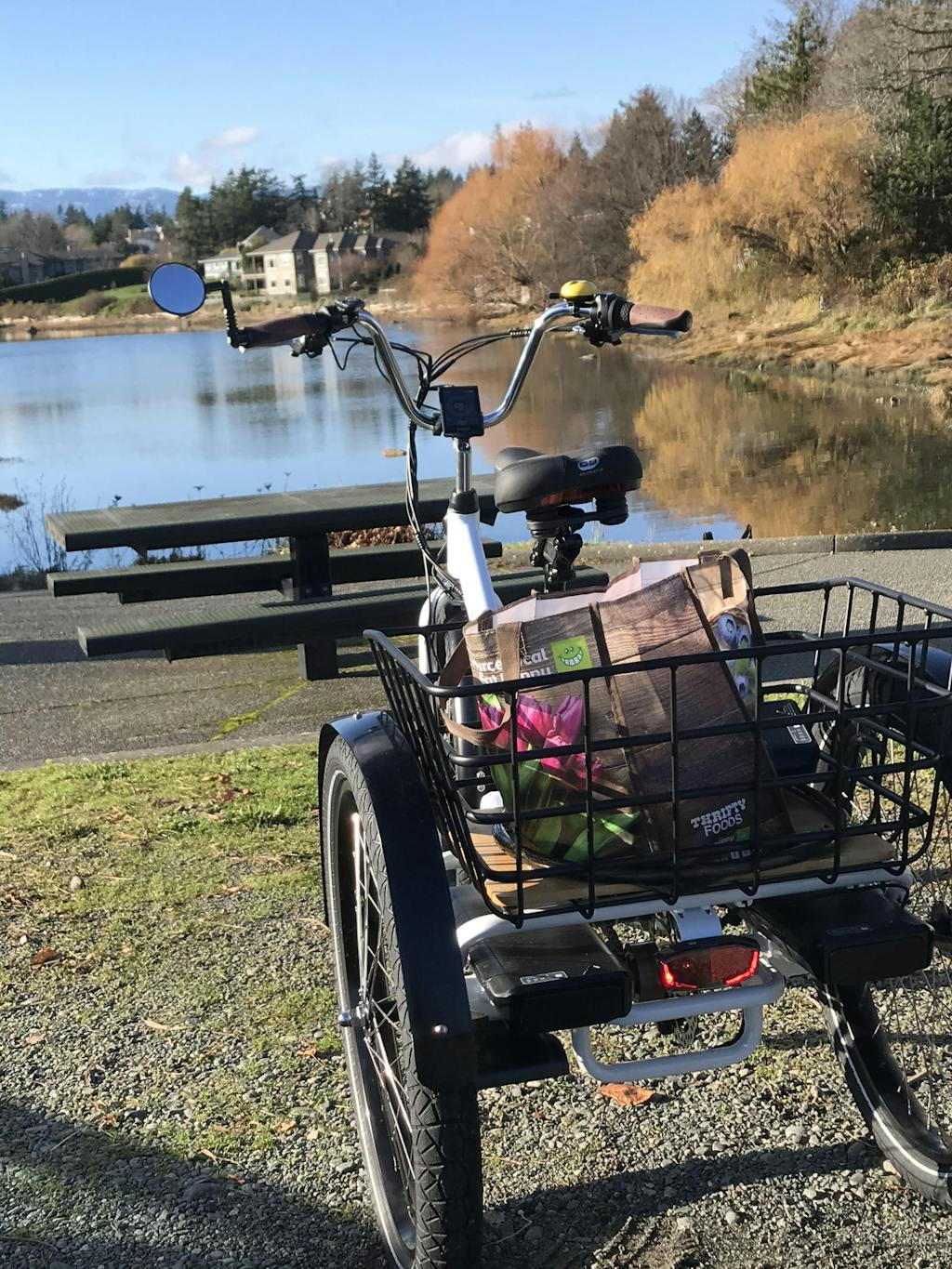 Powerful Adult Electric Tricycle - EVELO | Compass