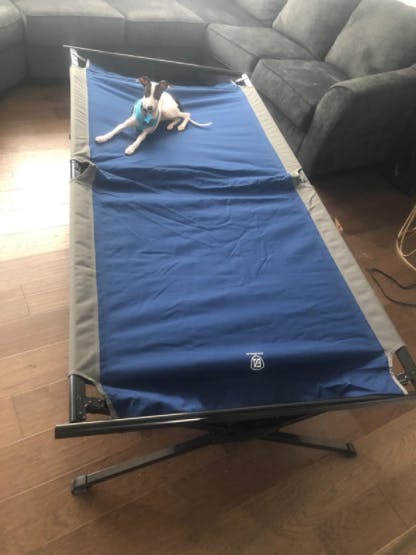 Oversized Camping Cot | EVER ADVANCED