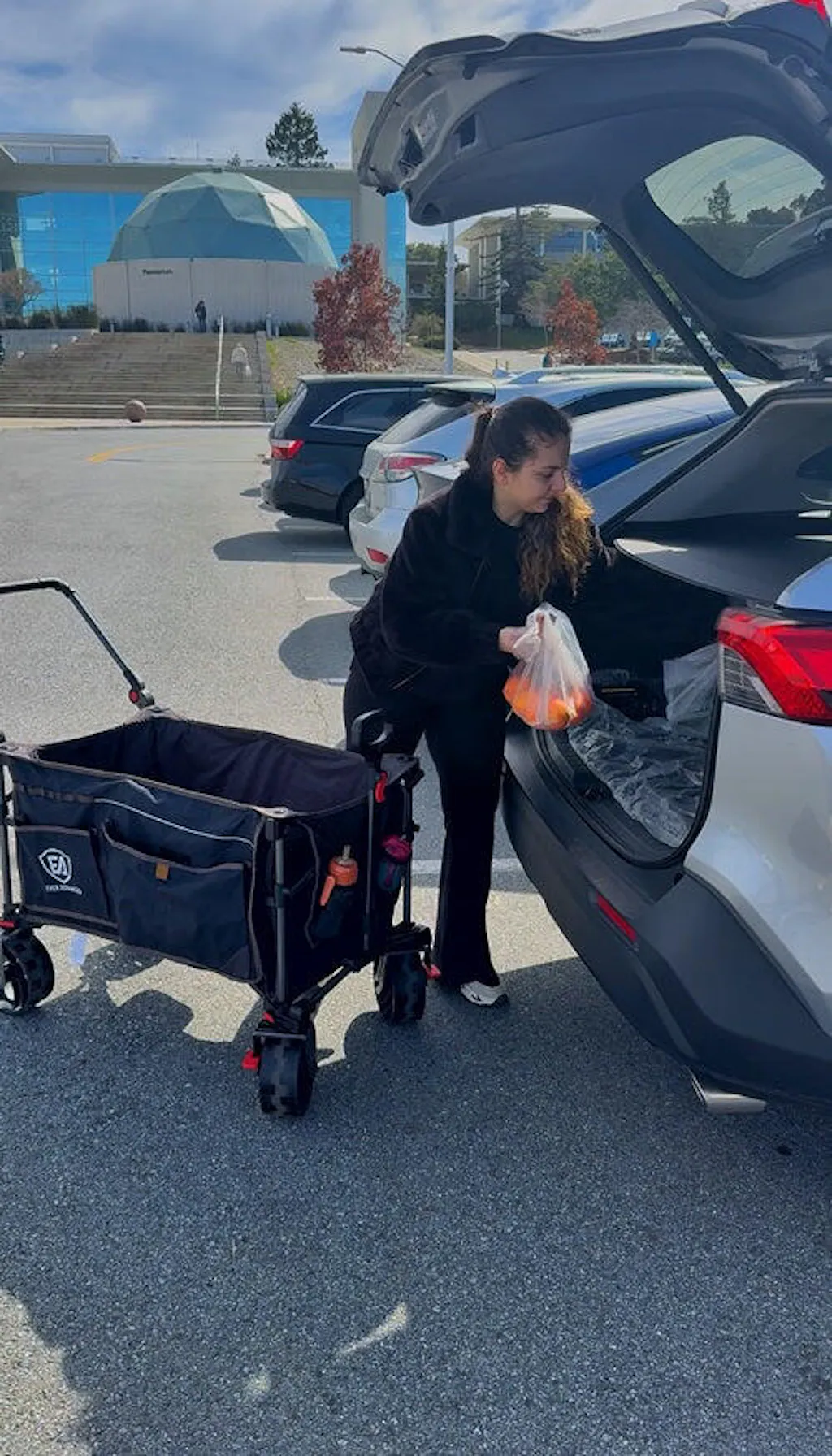 Folding Camping Push Wagon | EVER ADVANCED