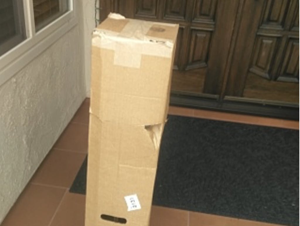 M-4 Grafted Mango Tree, for sale from Florida – Everglades Farm